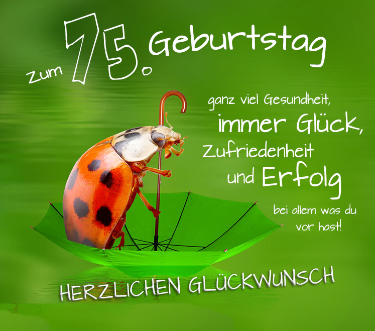 Geburtstag 75