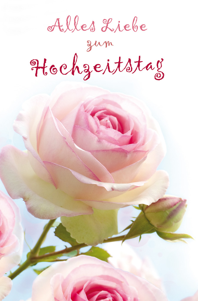 Feste/Hochzeit/ Hochzeitstag