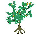 Landschaften/Bäume/Baum Gifs