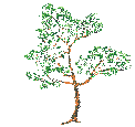 Landschaften/Bäume/Baum Gifs