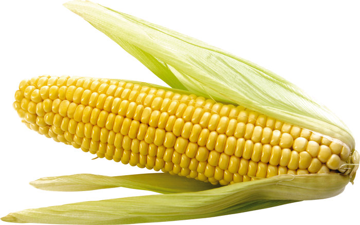 Nahrung/Gesundes/Gemüse/M