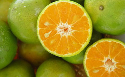 Nahrung/Gesundes/Obst & Früchte/Auswahl B / Bitterorange