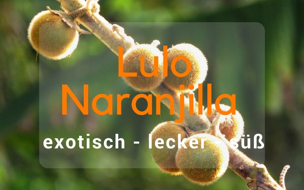 Nahrung/Gesundes/Obst & Früchte/Auswahl L/ Lulo