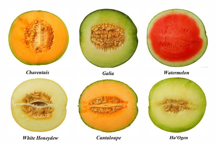 Nahrung/Gesundes/Obst/M/Melonen