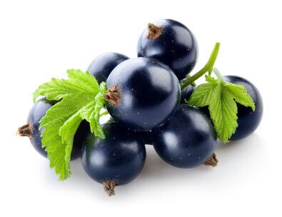 Nahrung/Gesundes/Obst & Früchte/Auswahl S/ Schwarze Johannisbeere