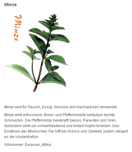 Nahrung/Gewürze/M/Minze