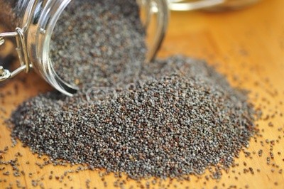 Nahrung/Gewürze/M/Mohn