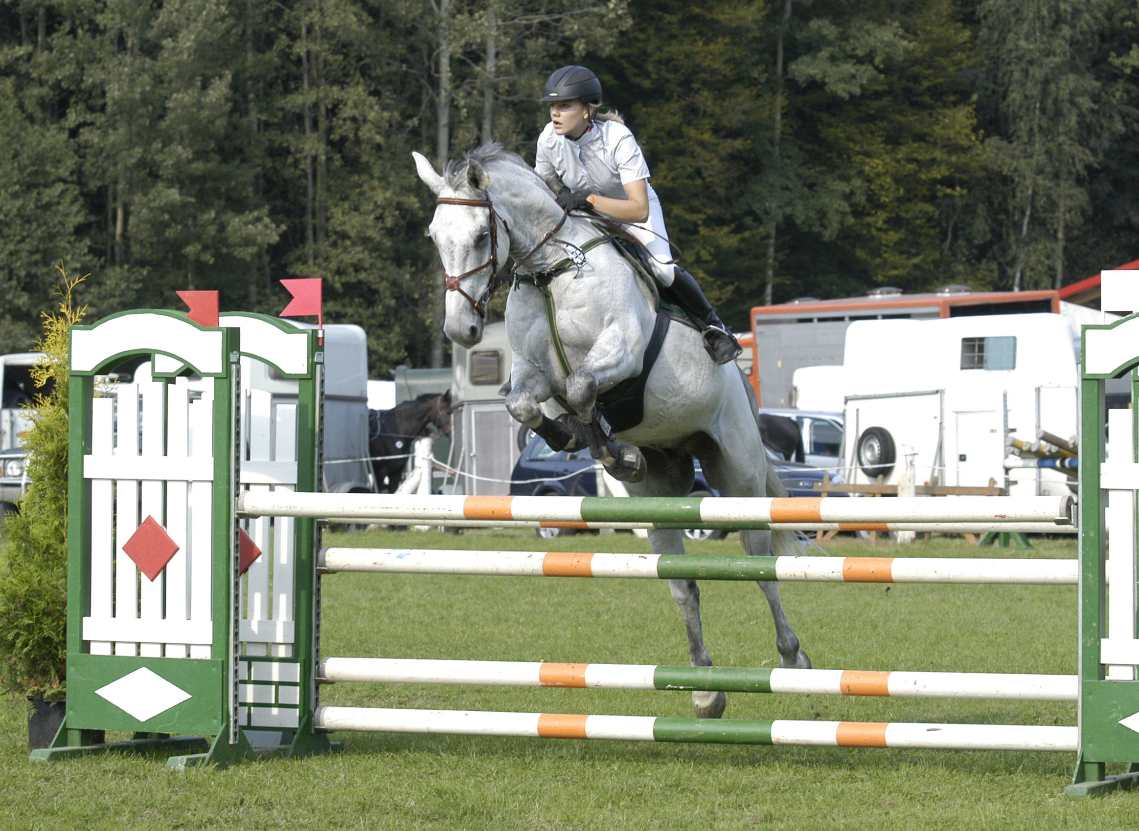 Reitsport/Springreiten