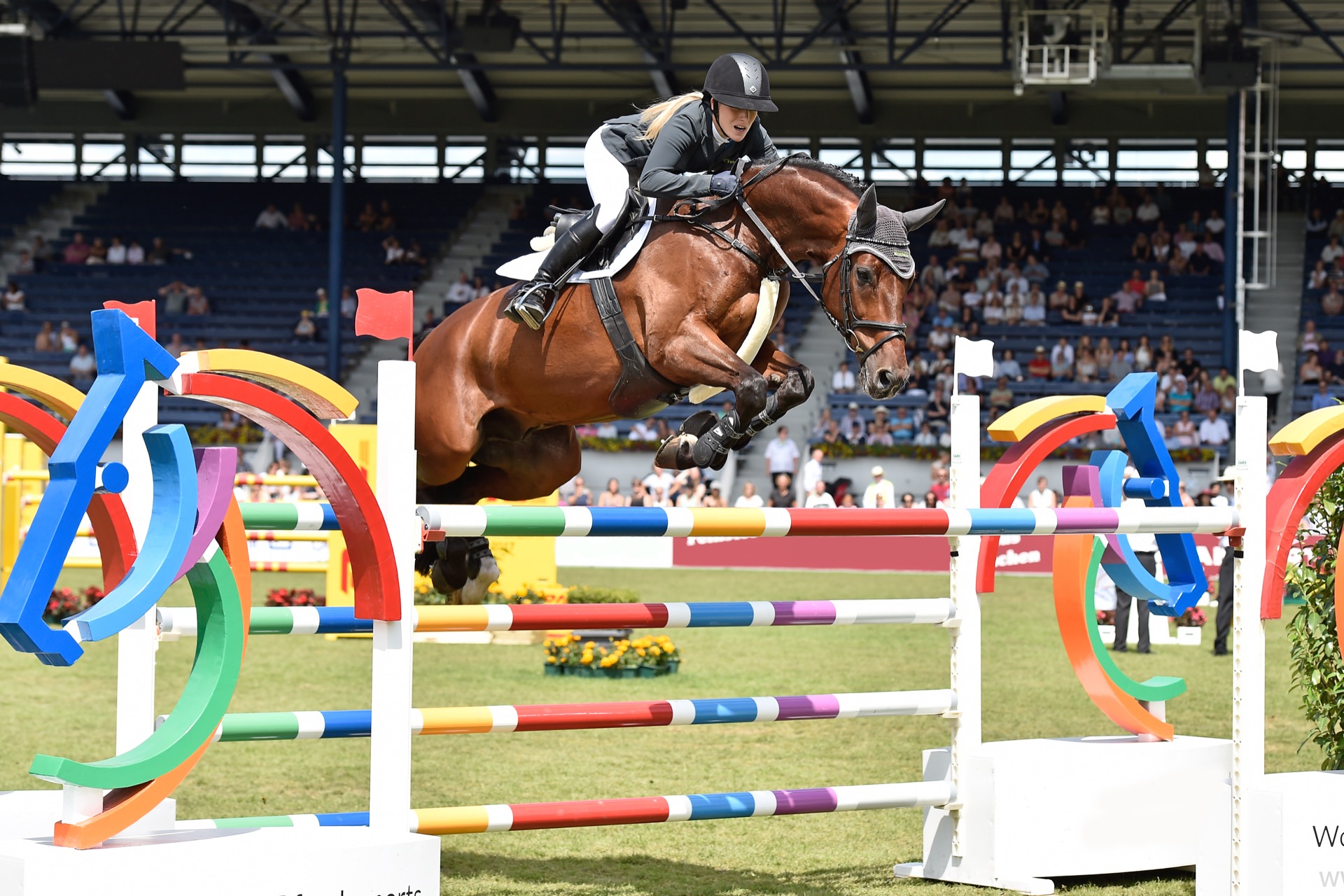 Reitsport/Springreiten